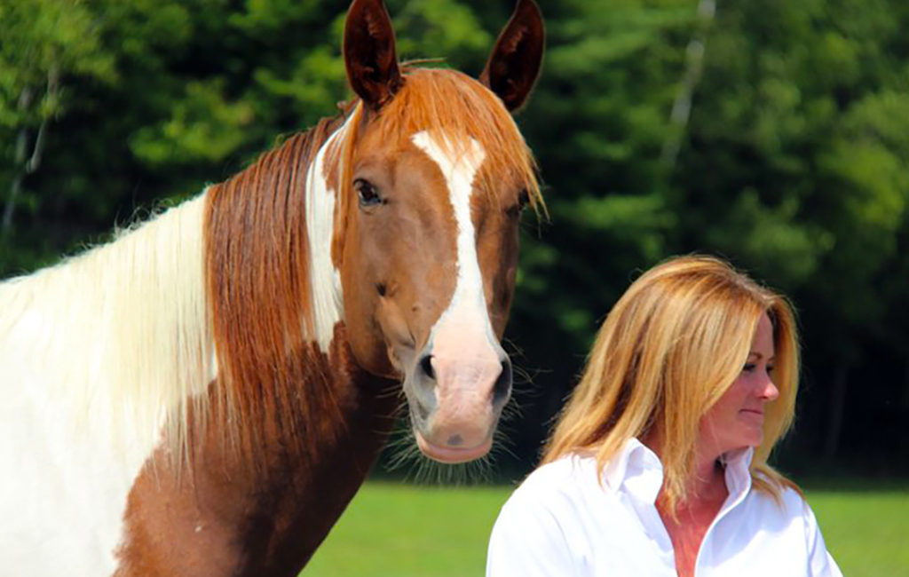 Stable Connections Equine Assisted Activities & Therapies